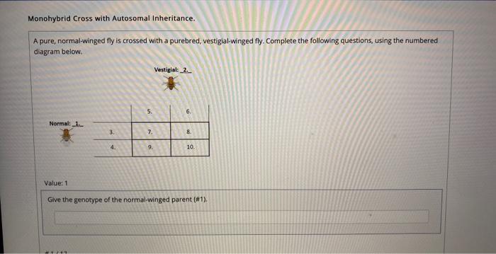 Solved Monohybrid Cross with Autosomal Inheritance. A pure, | Chegg.com