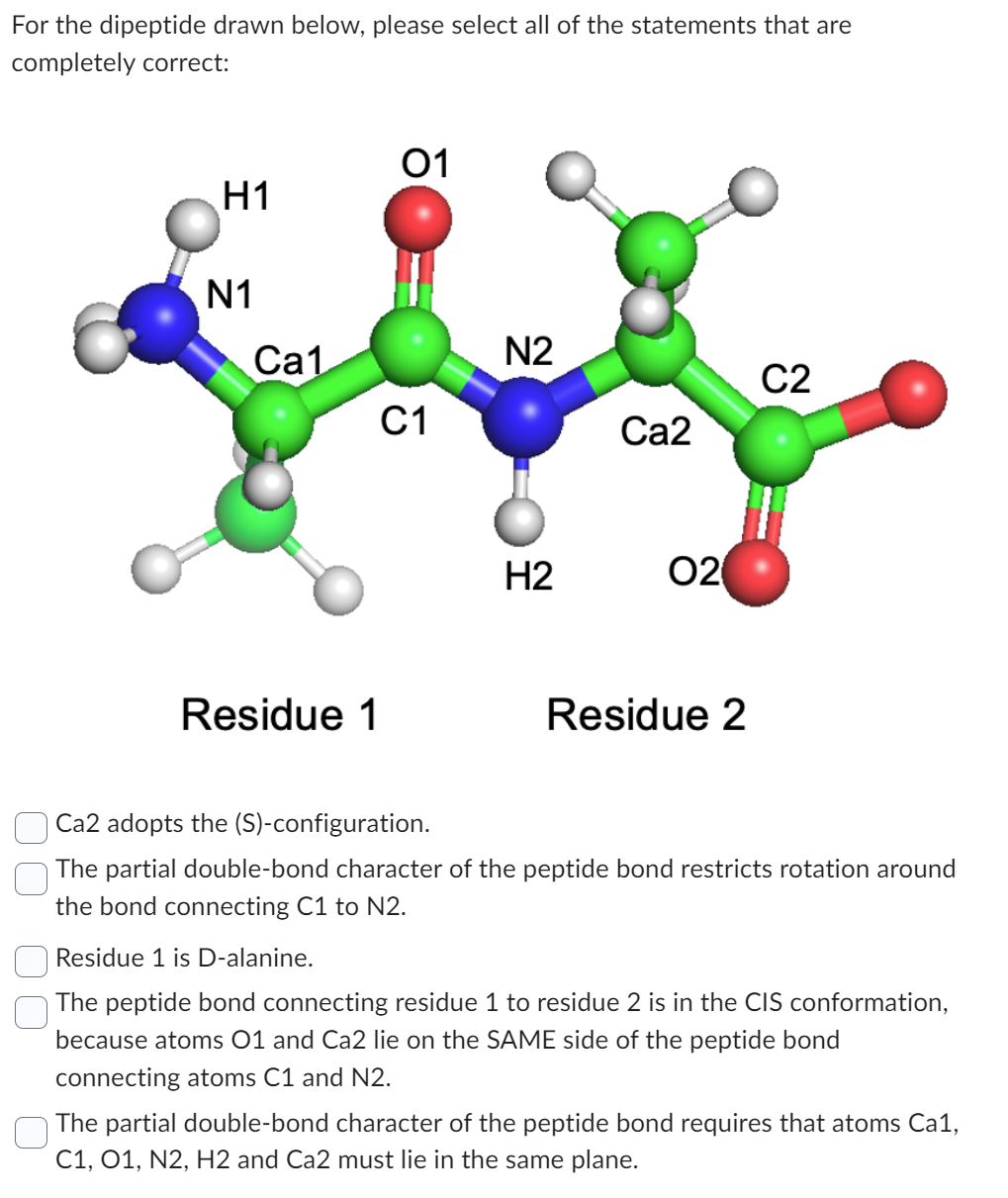 Solved For the dipeptide drawn below, please select all of | Chegg.com