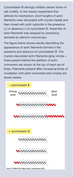 Solved Cytochalasin B strongly inhibits certain forms of | Chegg.com