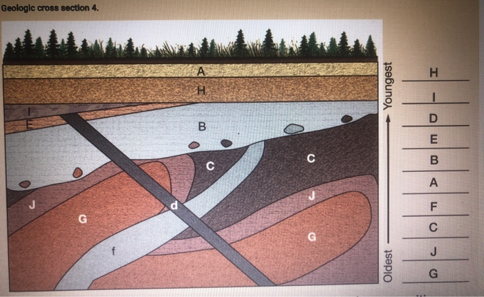 Solved Geologic cross section 4. Youngest OOTD om- Oldest | Chegg.com
