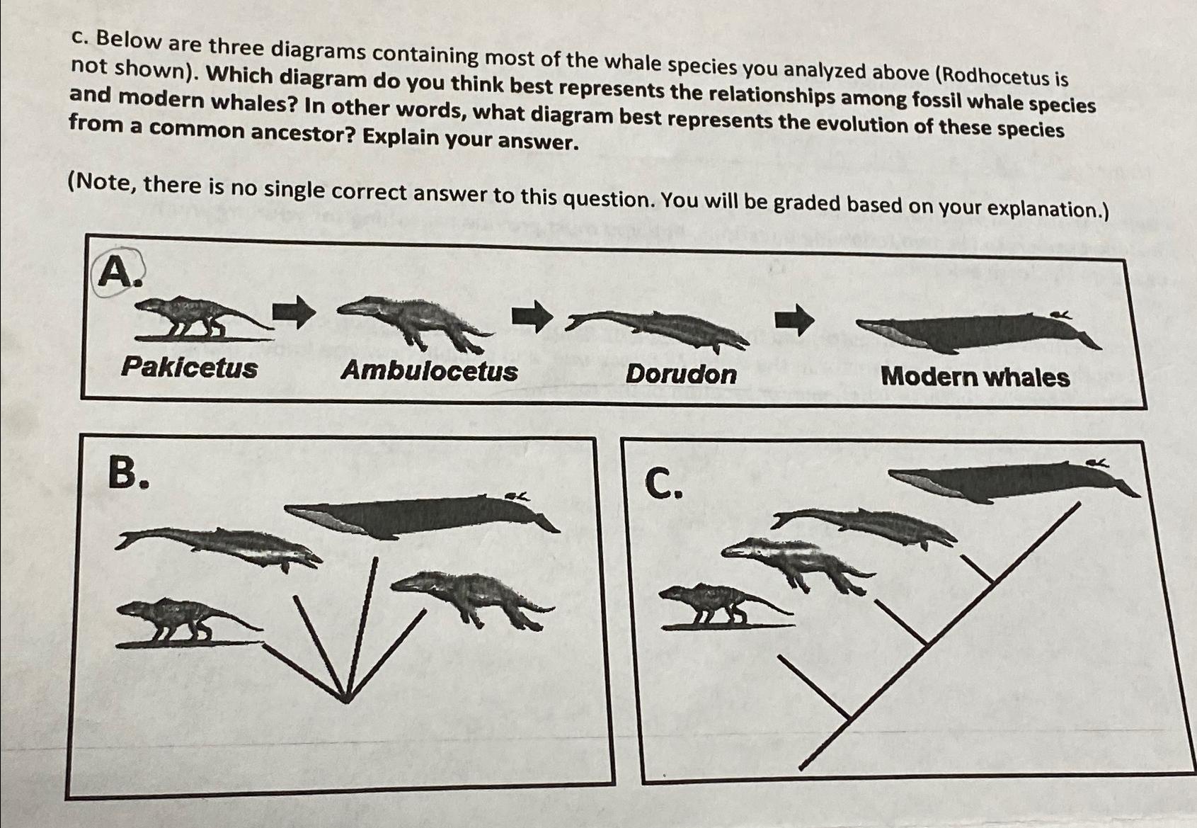 Solved c. ﻿Below are three diagrams containing most of the | Chegg.com