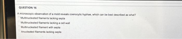Solved QUESTION 16 A microscopic observation of a mold | Chegg.com