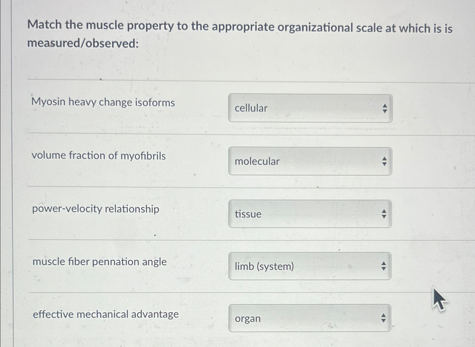 Solved Match the muscle property to the appropriate | Chegg.com