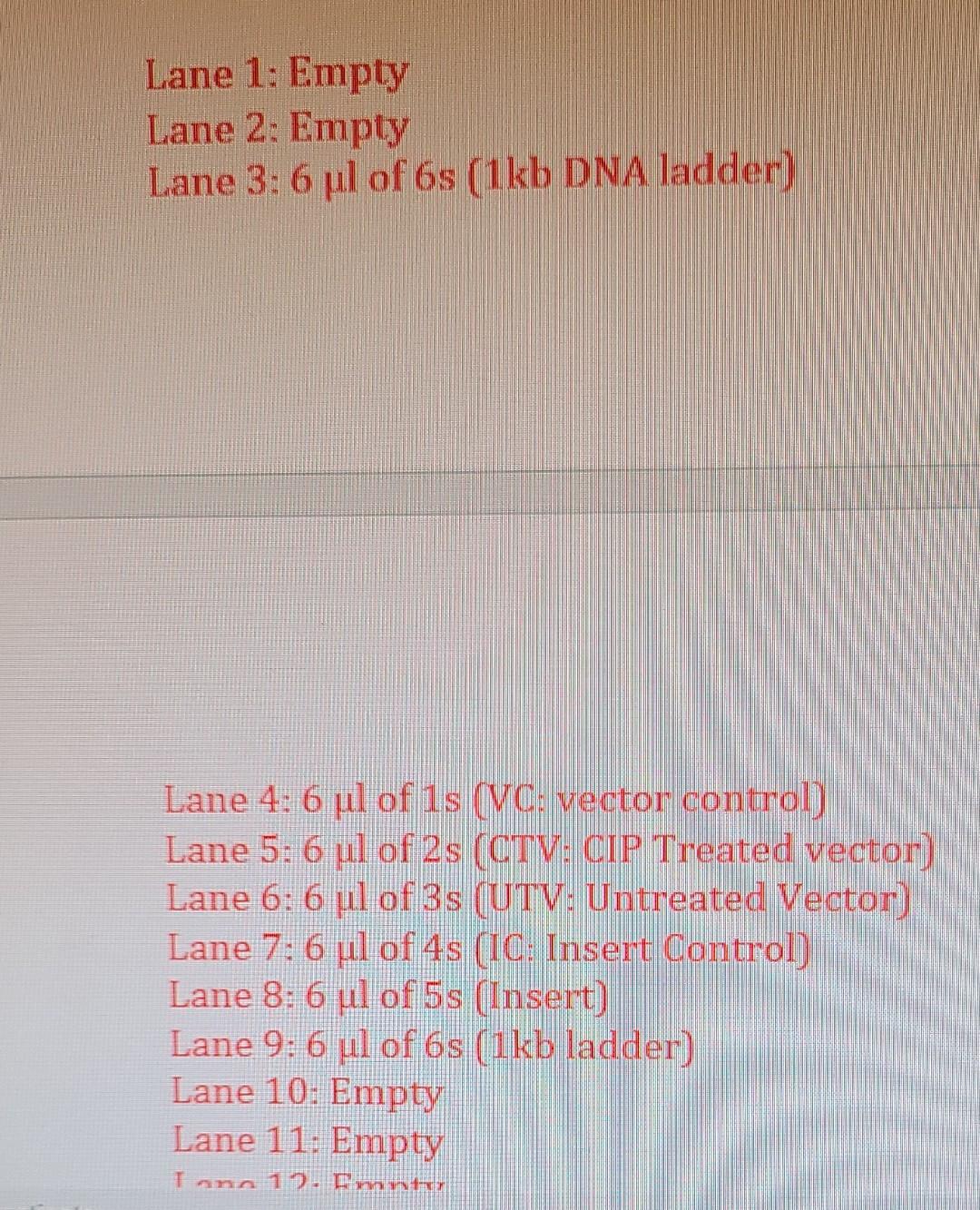 Solved - Describe your results: for each fragment (insert | Chegg.com