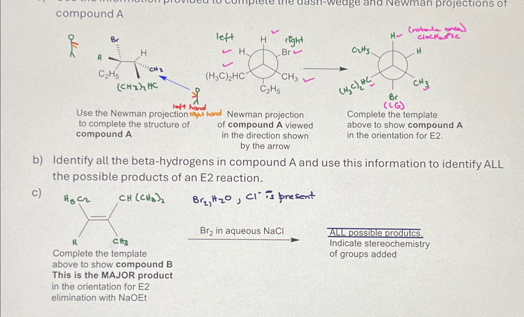 Solved compound AUse the Newman projection hight hand Newman | Chegg.com