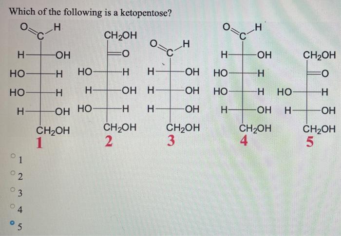 Solved Which of the following is a ketopentose? Н CH2OH о H | Chegg.com