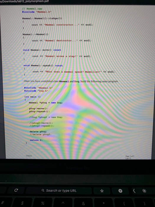 Solved ab 12 x Slab12_polymorphism.pdf X + | Chegg.com