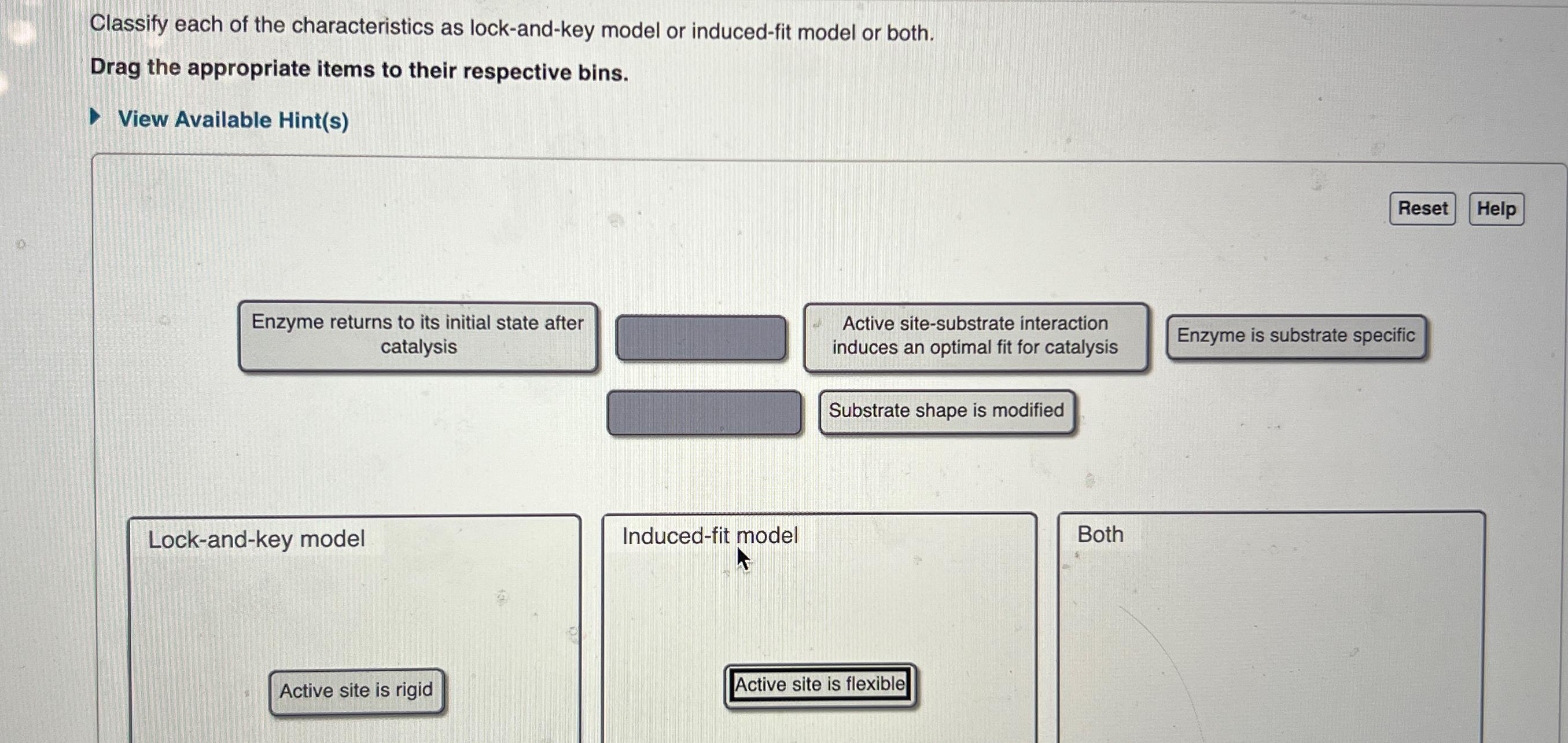 Solved Classify each of the characteristics as lock-and-key | Chegg.com