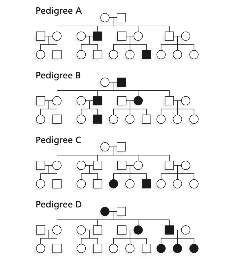 Solved For each pedigree shown,a. ﻿Identify which simple | Chegg.com