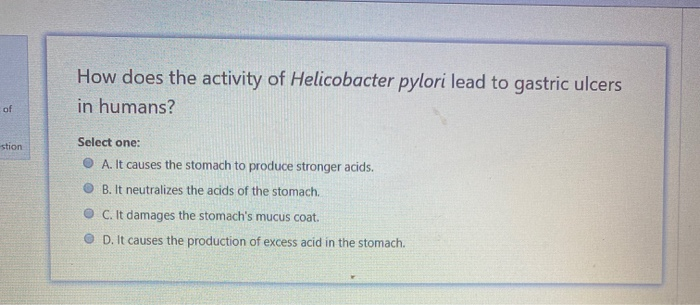 Solved How does the activity of Helicobacter pylori lead to | Chegg.com