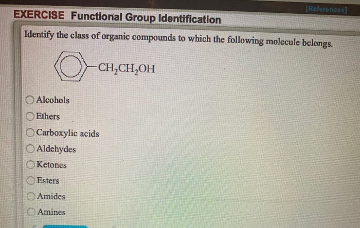 Solved [References) EXERCISE Functional Group Identification | Chegg.com