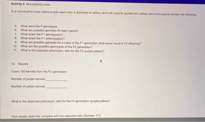 Solved Activity 4. Monohybrid cross In a monohybrid cross | Chegg.com