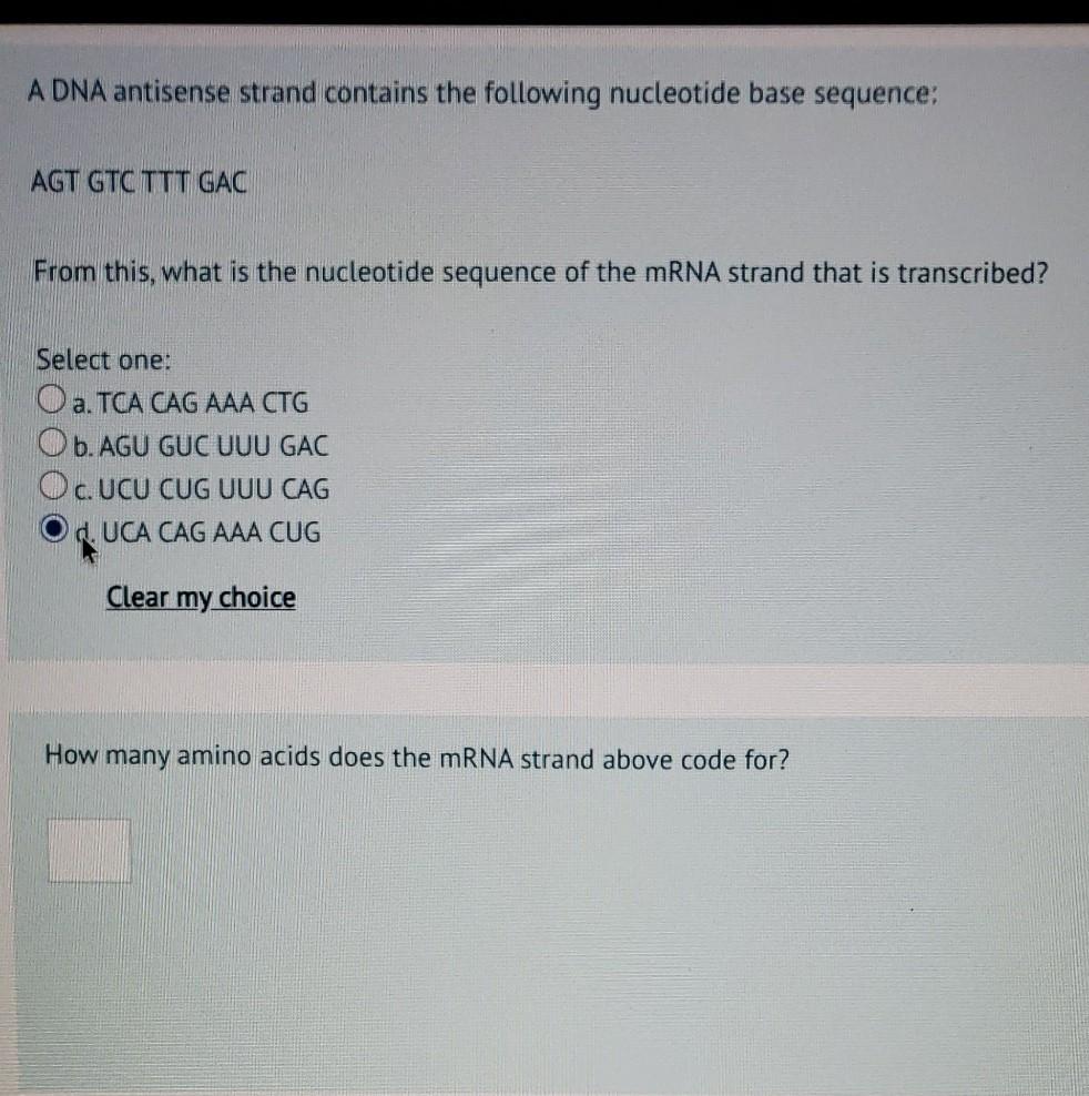 Solved A DNA antisense strand contains the following | Chegg.com