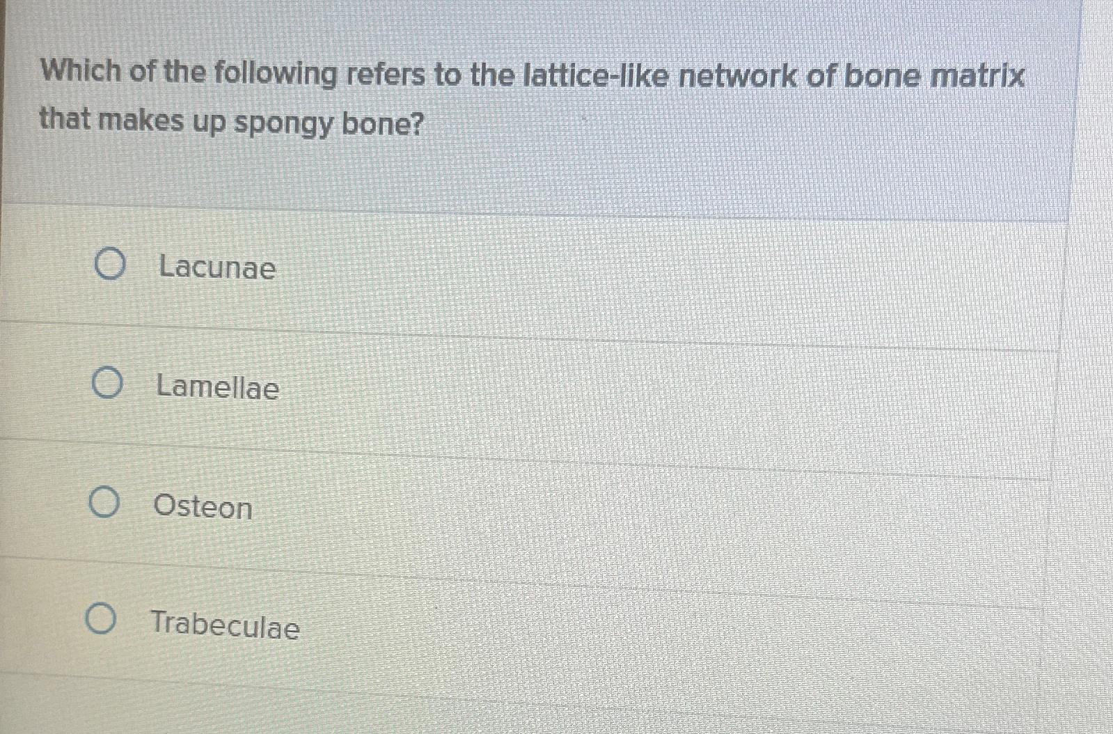 Solved Which of the following refers to the lattice-like | Chegg.com