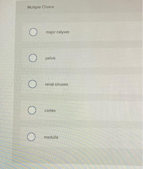 Solved Which structure is highlighted? Multiple Choice | Chegg.com
