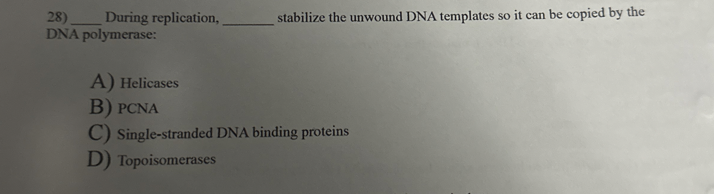 Solved q, ﻿During replication, ﻿stabilize the unwound DNA | Chegg.com