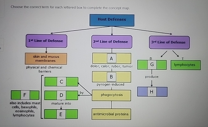 Solved Choose the correct term for each lettered box to | Chegg.com