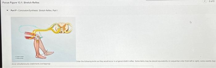 Solved Rar F. Conclsonsyneneus: Stench Pedex,Part = =0Part F | Chegg.com