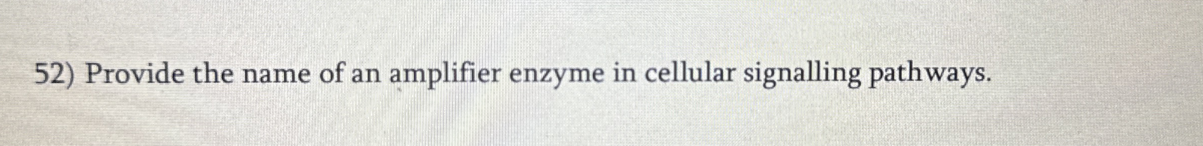 High Quality SOLUTION Provide the name of an amplifier enzyme in ...