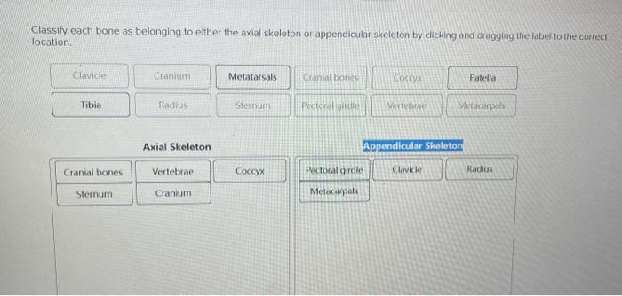 Solved Classify each bone as belonging to elther the axlal | Chegg.com