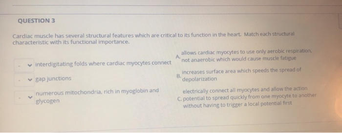 Solved QUESTION 3 Cardiac muscle has several structural | Chegg.com