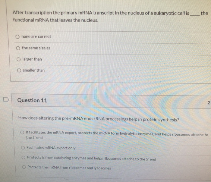 Solved the After transcription the primary mRNA transcript | Chegg.com