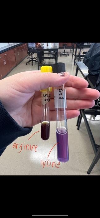 Solved Okay so I need some help with finding my bacterial | Chegg.com