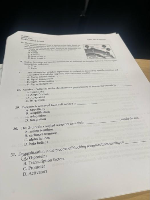 Solved gorverted to a oellulint respremari this semvension | Chegg.com