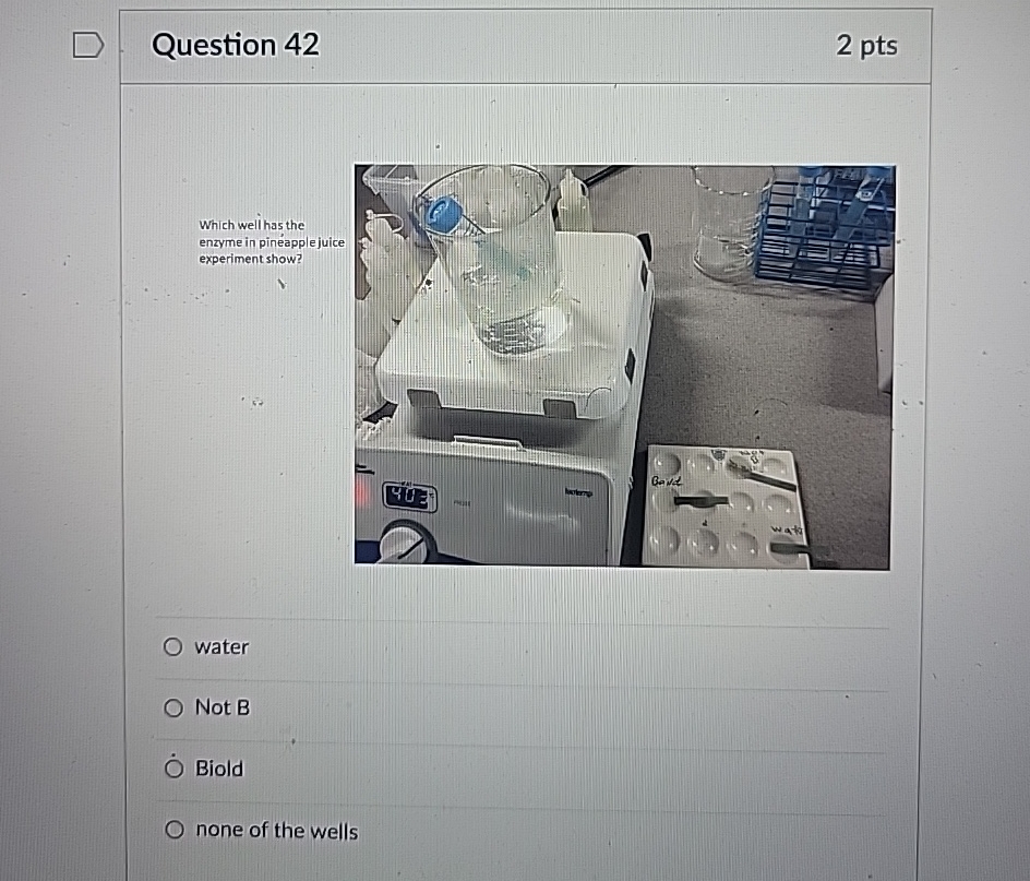 Solved Question 422 ﻿ptsWhich well has the enzyme in | Chegg.com