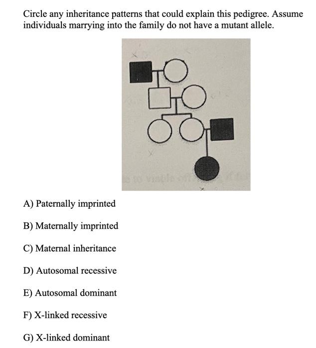 Solved Circle any inheritance patterns that could explain | Chegg.com