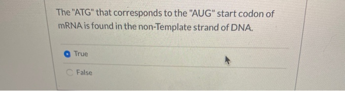 Solved The "ATG" that corresponds to the "AUG" start codon | Chegg.com