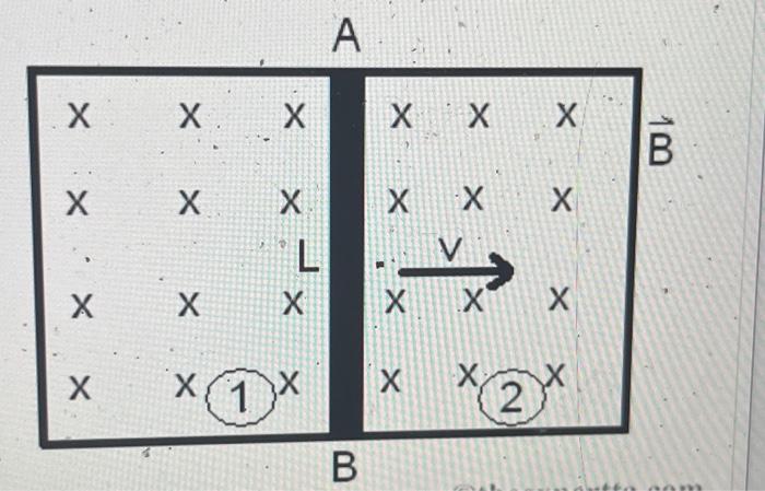 Solved (14\%) Problem 6; A rod AB with length L=0.115 m is | Chegg.com Solved (14\%) Problem 6; A rod AB with length L=0.115 m is | Chegg.com