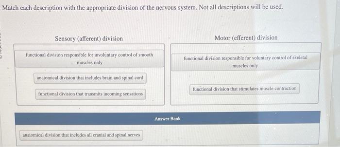 Solved Match each description with the appropriate division | Chegg.com