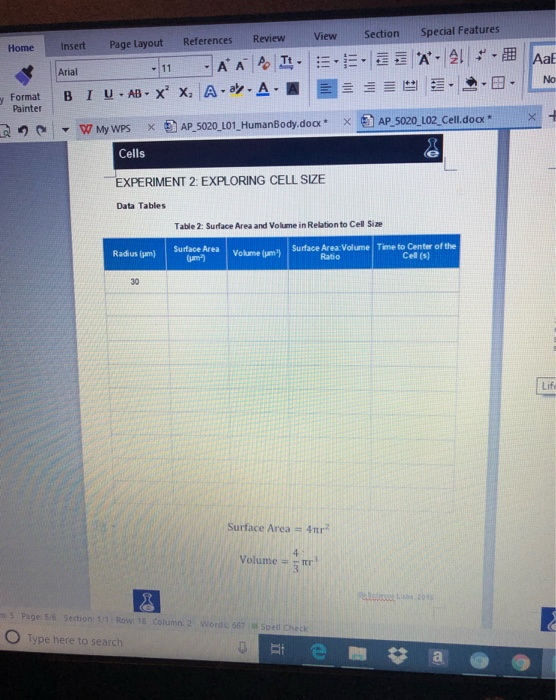 Aat No . Home Insert Page Layout References Review | Chegg.com