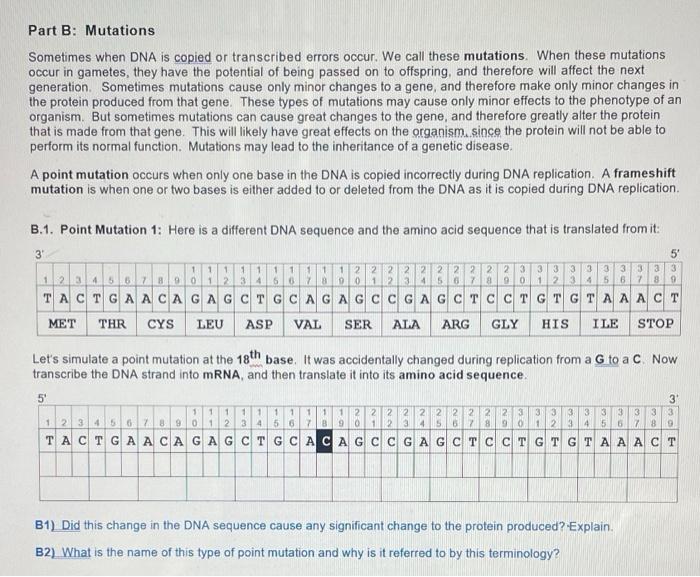 Solved Part B: Mutations Sometimes when DNA is copied or | Chegg.com