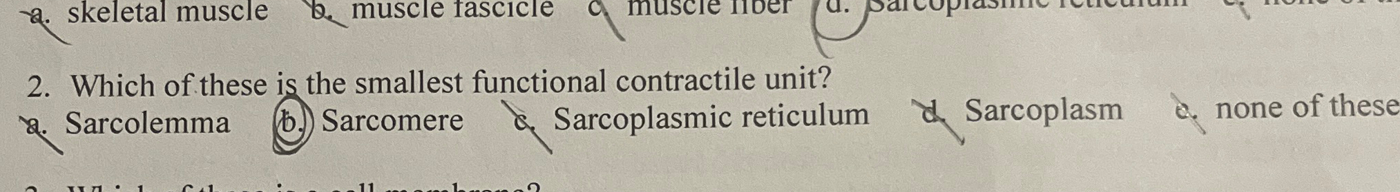 Solved Which of these is the smallestfunctional contractile | Chegg.com