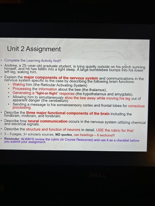 Solved Complete the Learning Activity first!! - Andrew, a | Chegg.com