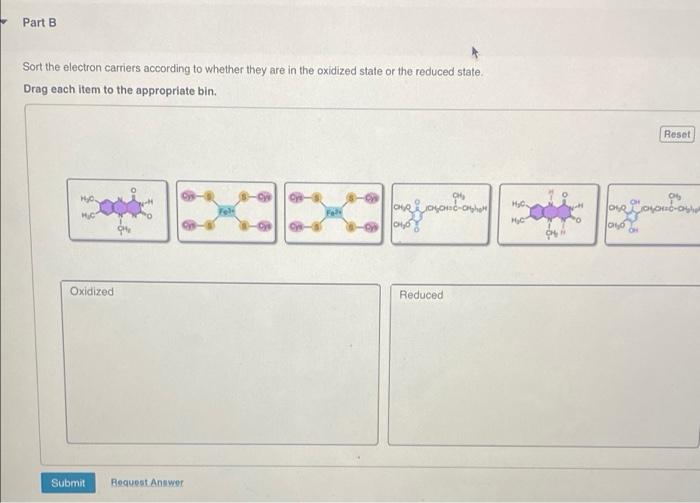 Solved Part B Sort the electron carriers according to | Chegg.com