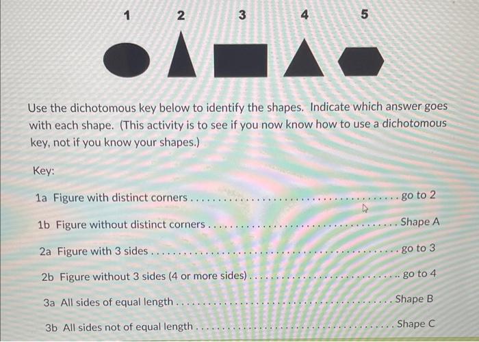Solved Use the dichotomous key below to identify the shapes. | Chegg.com