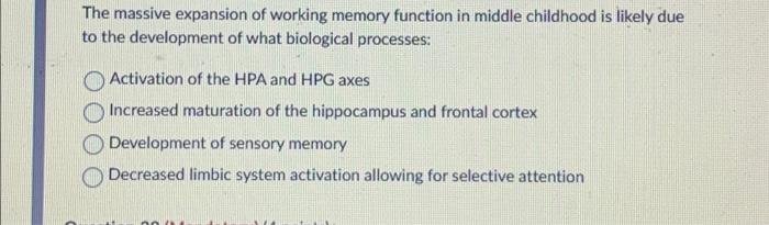 Solved The massive expansion of working memory function in | Chegg.com