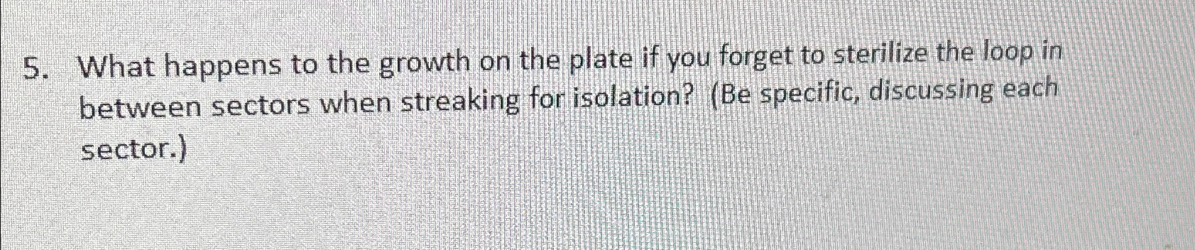 Solved What happens to the growth on the plate if you forget | Chegg.com