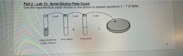Solved Part 2 - Lab 15: Serial Dilution Plate Count Use the | Chegg.com