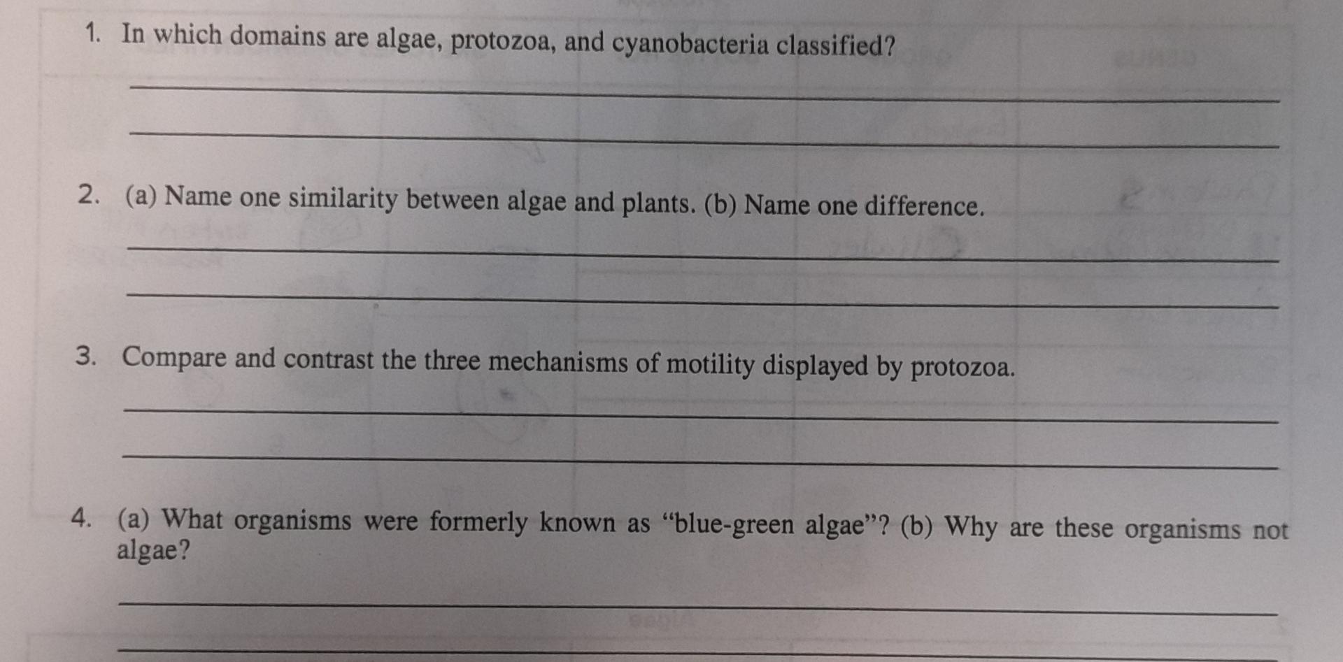 Solved 1. In which domains are algae, protozoa, and | Chegg.com