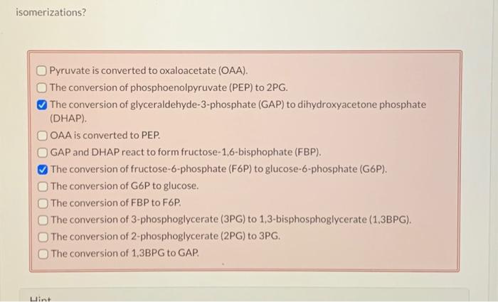 Pyruvate is converted to oxaloacetate (OAA). The | Chegg.com