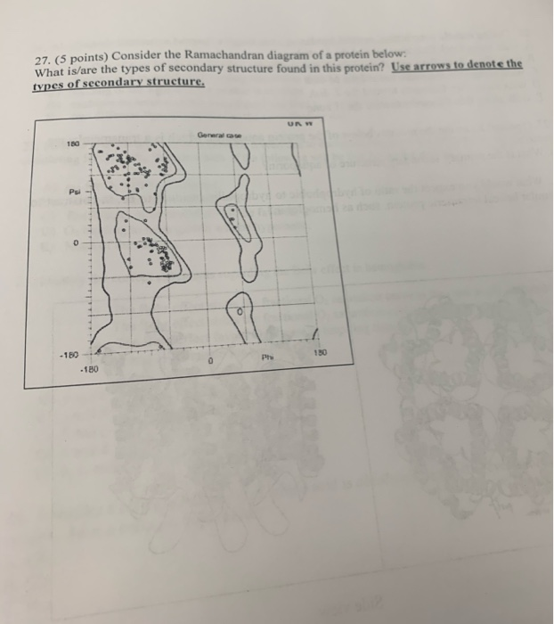 Solved 27. (5 points) Consider the Ramachandran diagram of a | Chegg.com