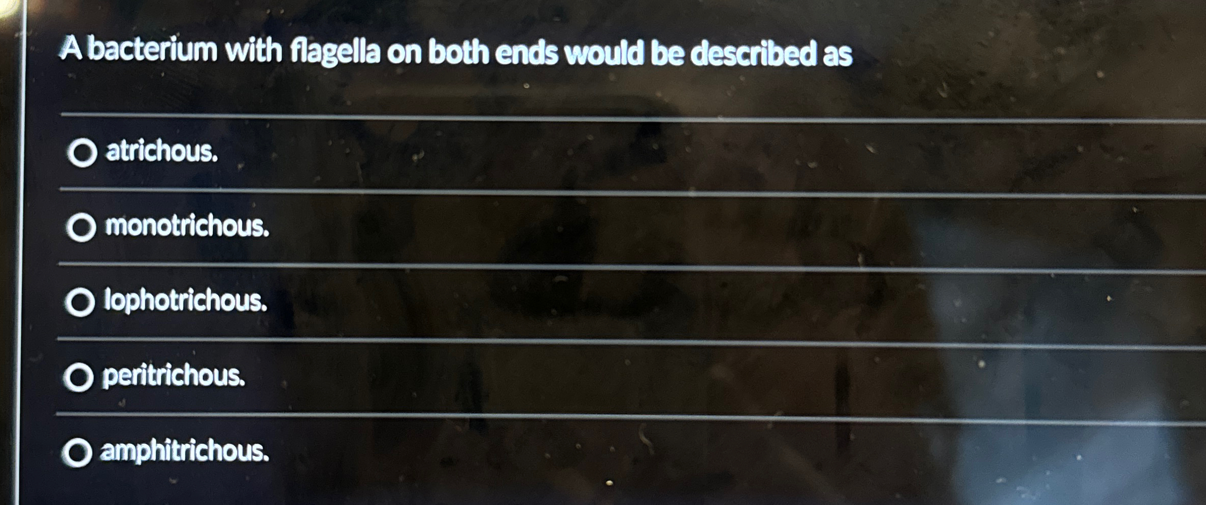 Solved A bacterium with flagella on both ends would be | Chegg.com