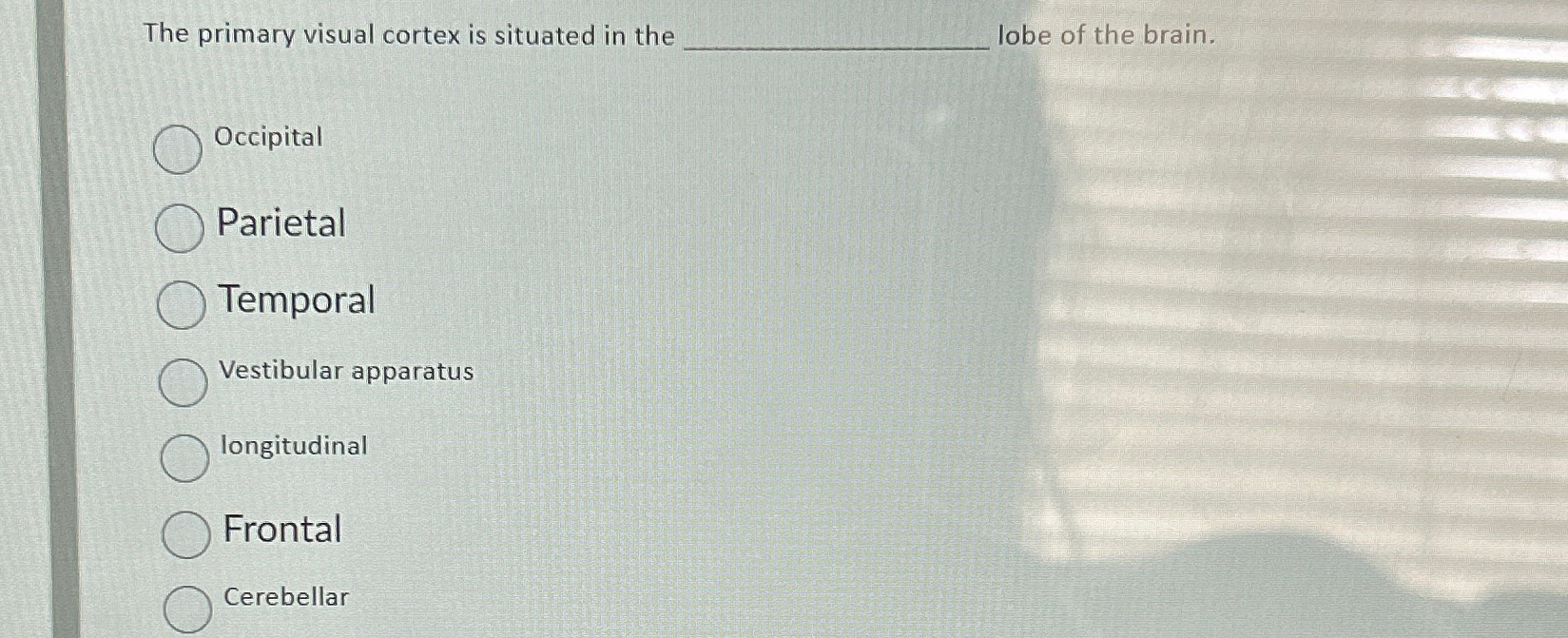 Solved The primary visual cortex is situated in the lobe of | Chegg.com