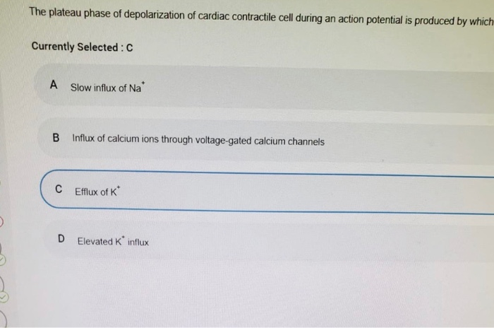 The plateau phase of depolarization of cardiac | Chegg.com