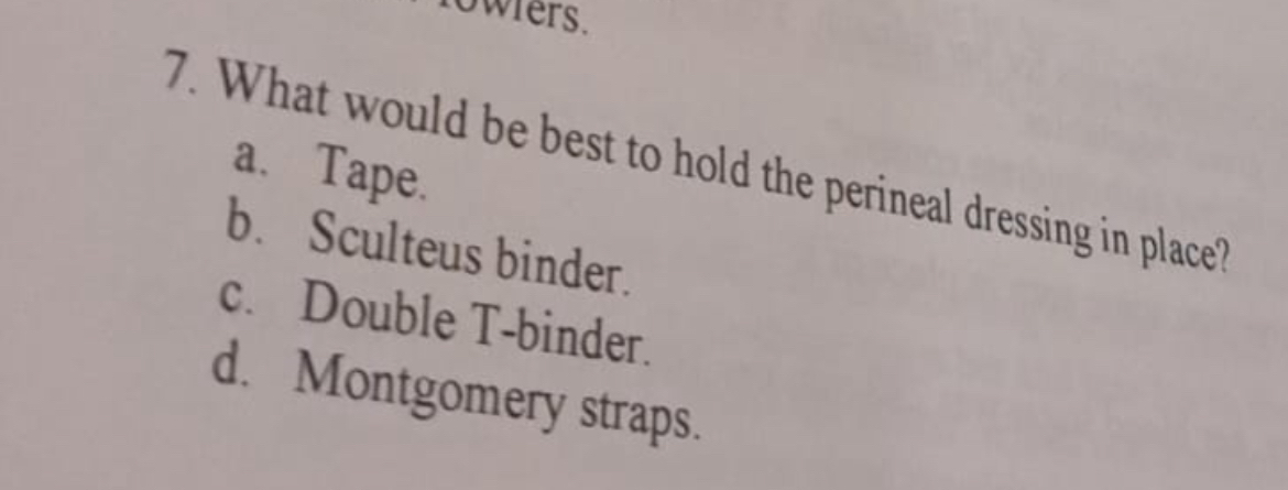 Solved What would be best to hold the perineal dressing in | Chegg.com