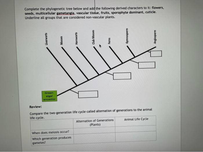 Complete Phylogenetic Tree Of Life